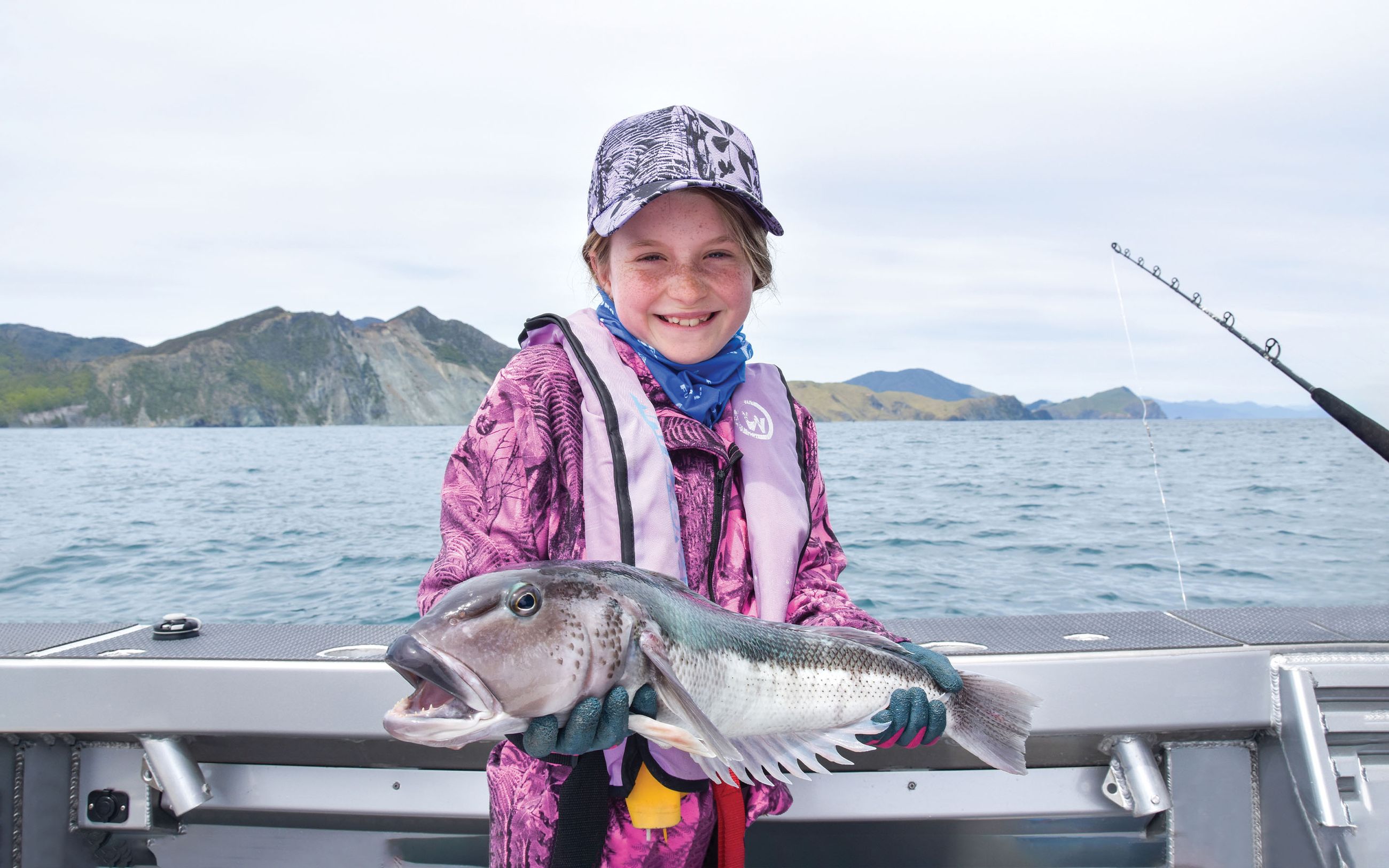 Blue Cod - Species Guide